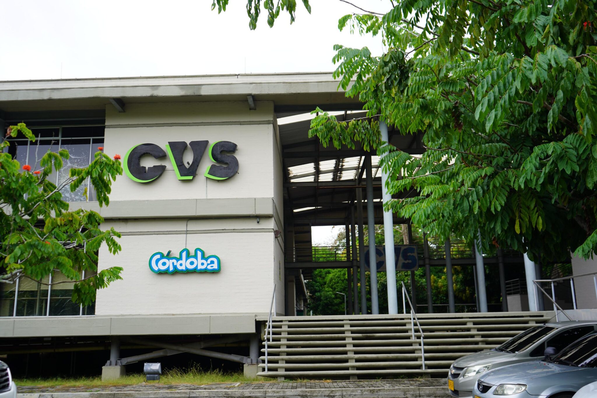 CVS aclara competencias sobre manejo del arbolado urbano en municipios ...